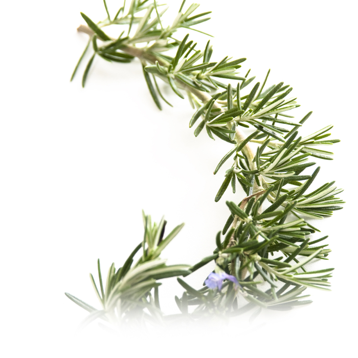 Rozemarijnwater - Chi Natural Life