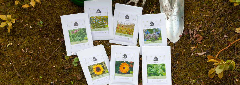 Bee good for nature! | Chi Natural Life Blog - Chi Natural Life